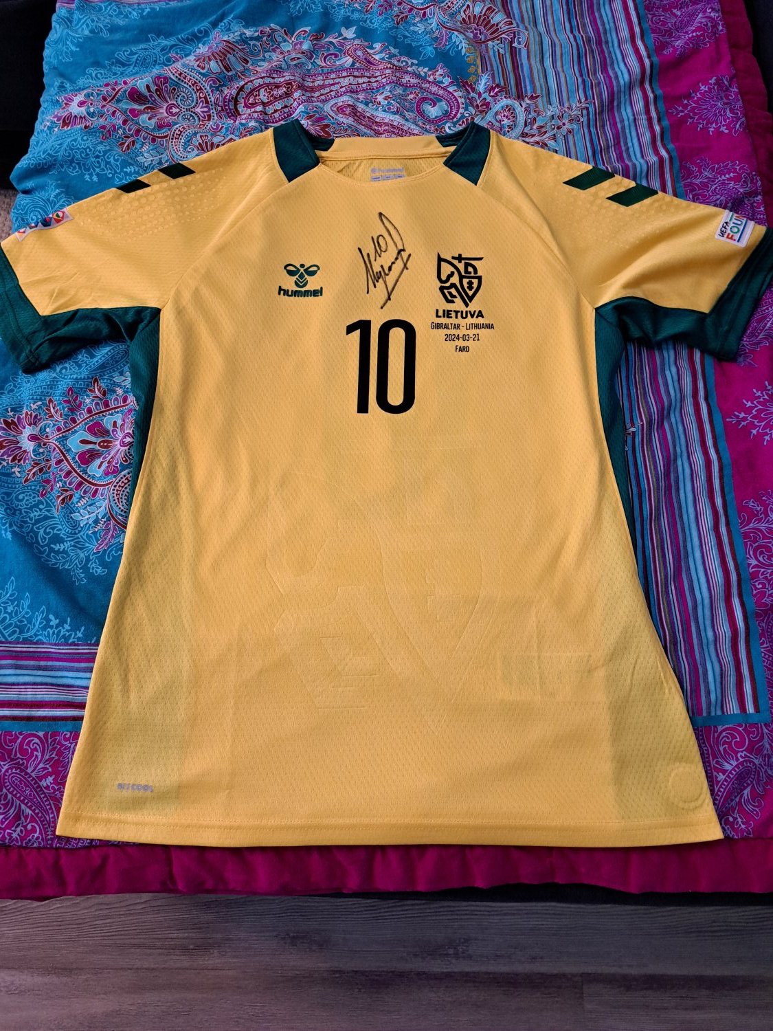 Lithuania Home football shirt 2023 - 2024