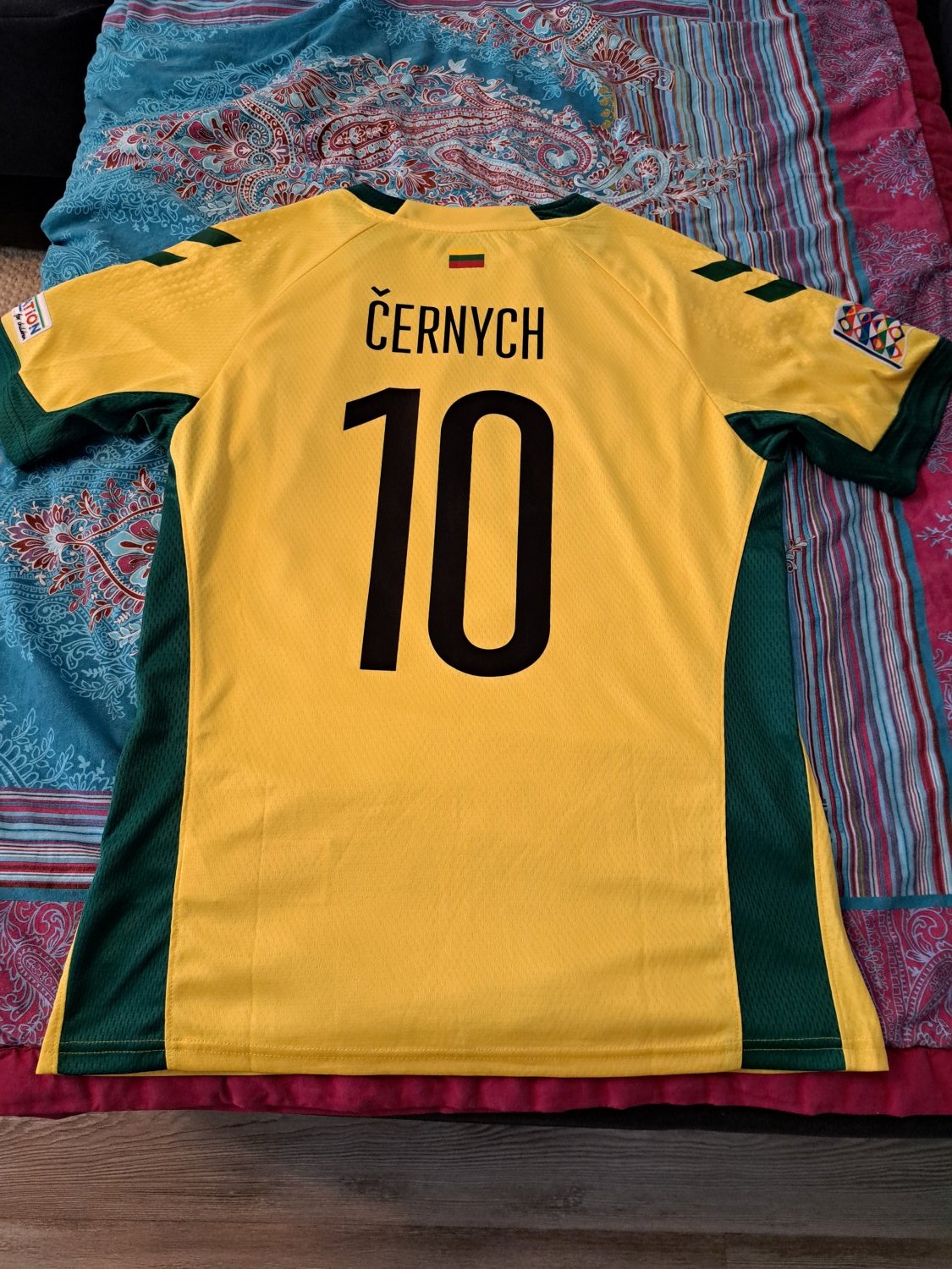 Lithuania Home football shirt 2023 - 2024