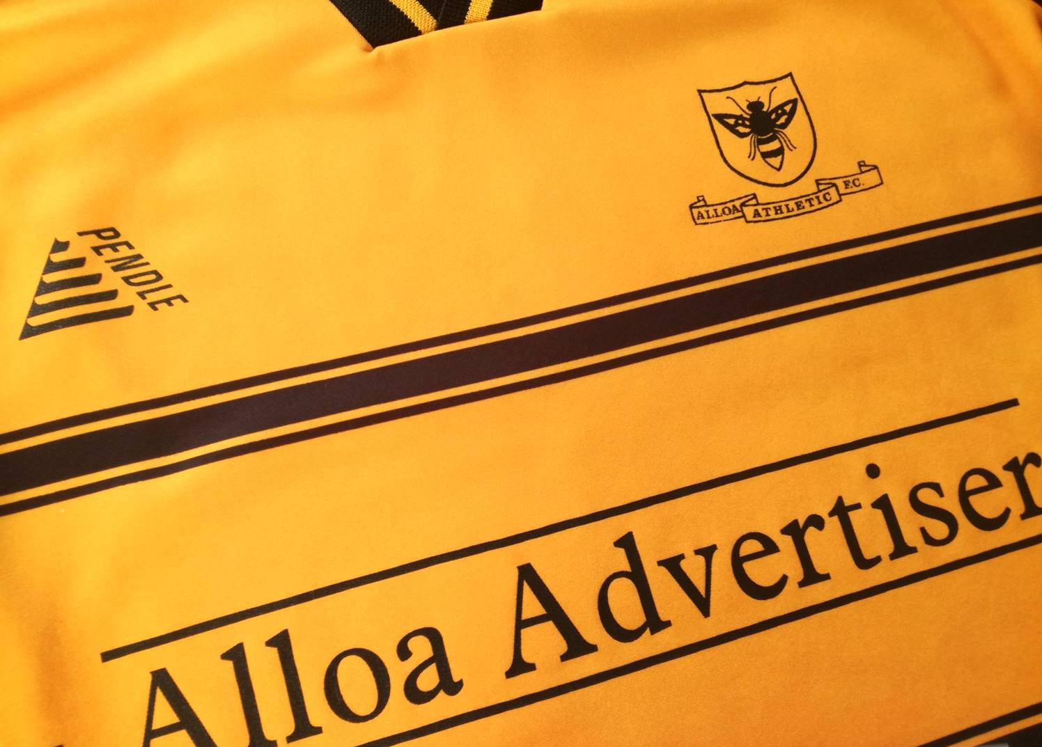 Alloa Home football shirt 2001 - 2002