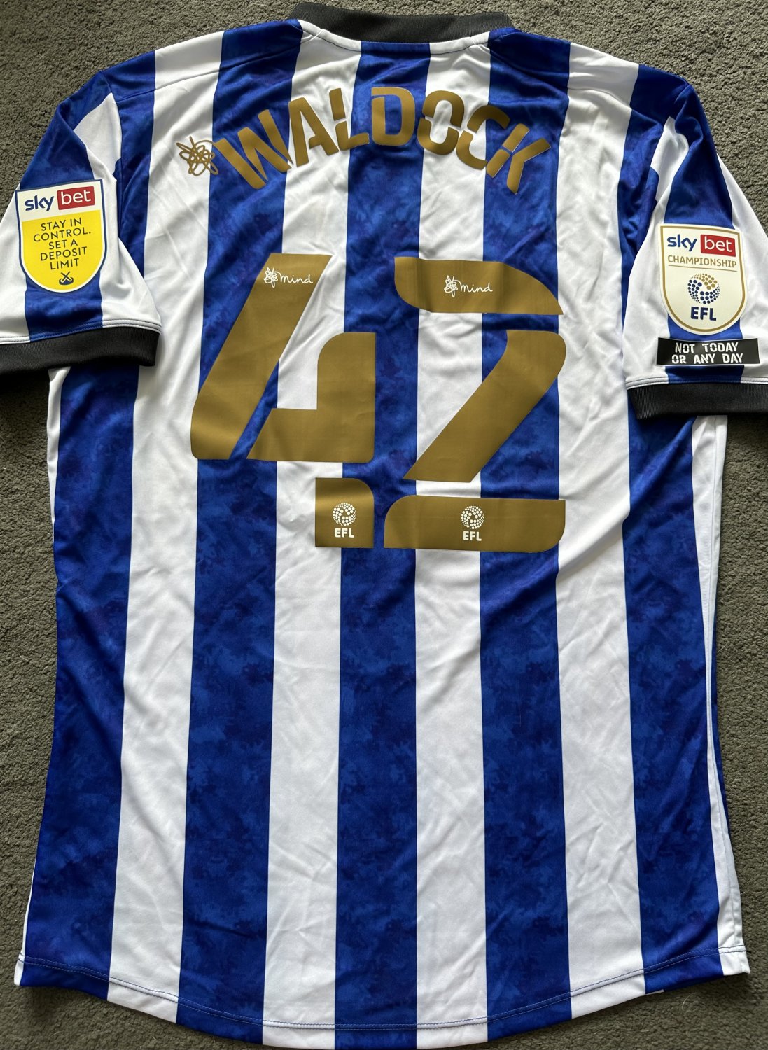 Sheffield Wednesday Home football shirt 2020 - 2021