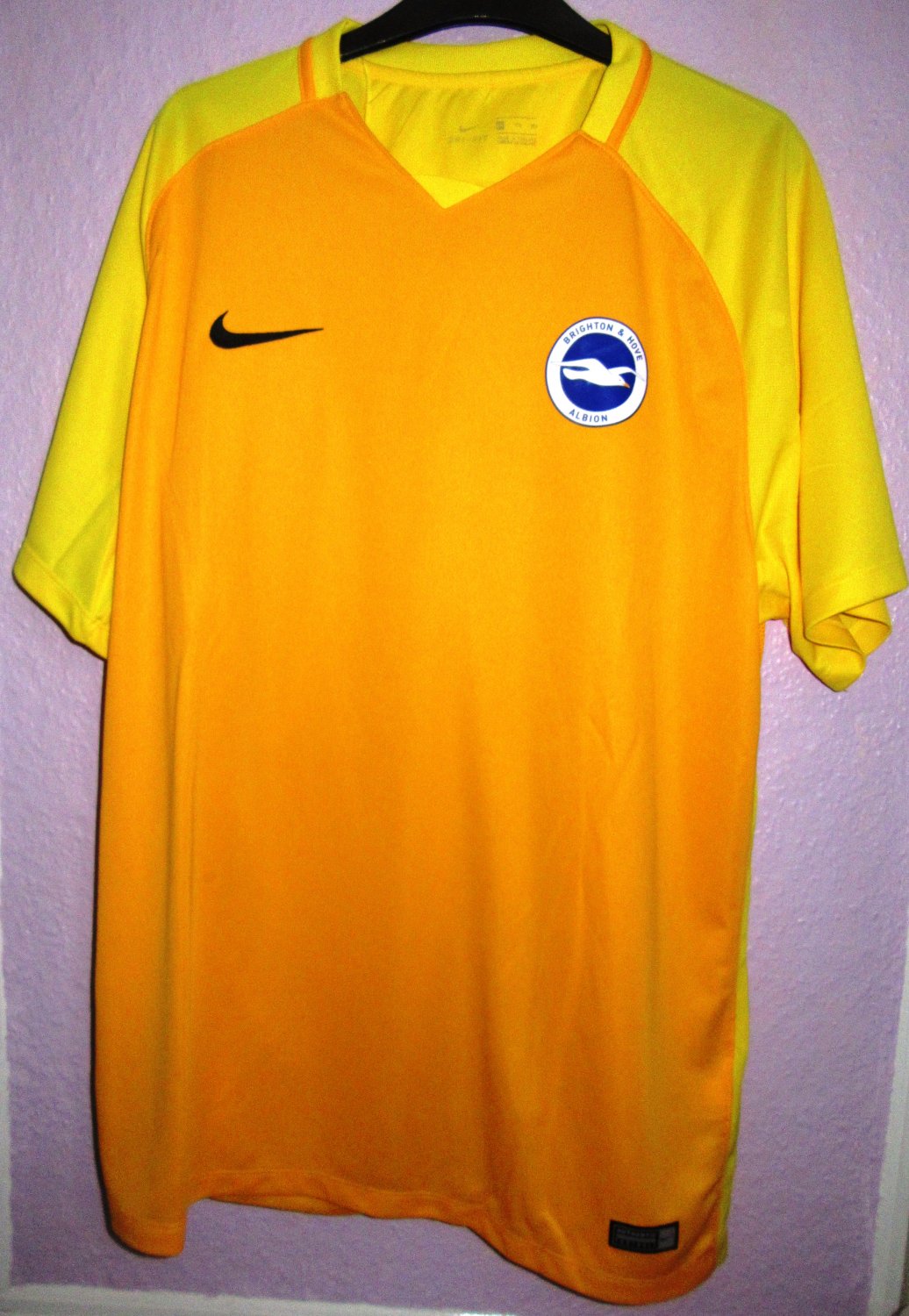 Brighton & Hove Albion Training/Leisure football shirt 2018 - 2019
