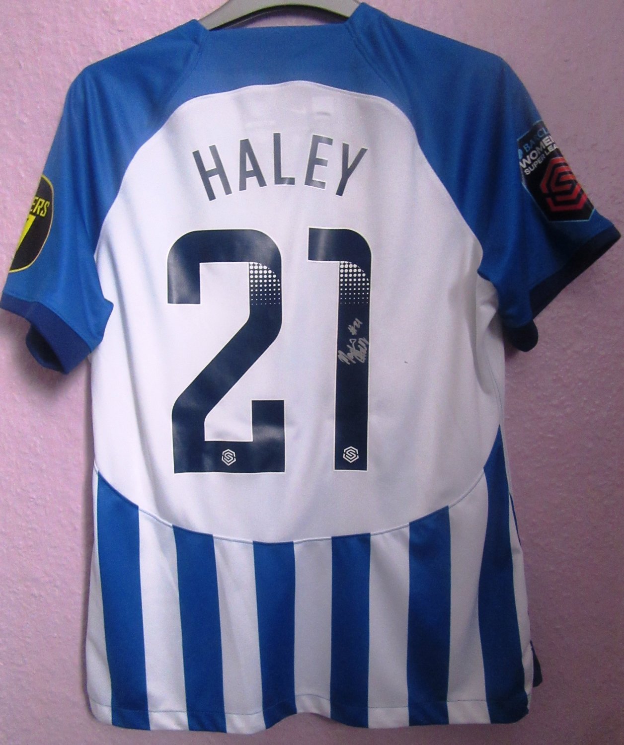 Brighton & Hove Albion Womens Teams football shirt 2023