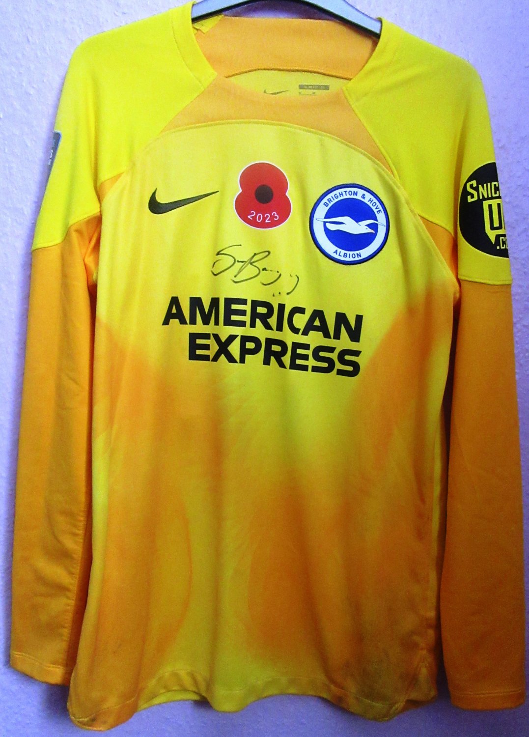 Brighton & Hove Albion Goalkeeper football shirt 2022 - 2024