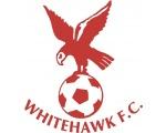 Old Whitehawk football shirts and soccer jerseys