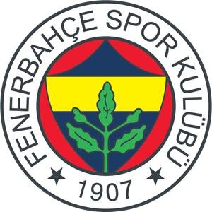 Fenerbahce shirt sponsors